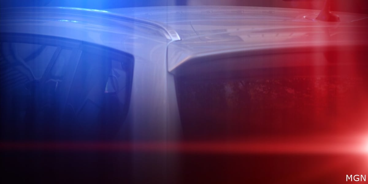 Portion of the WV Turnpike shutdown after incident involving pedestrian Portion of the WV Turnpike shutdown after incident involving pedestrian