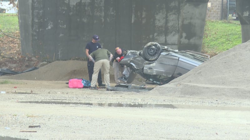 Four injured; two dogs die after driver loses control and drives off ... Four injured; two dogs die after driver loses control and drives off ...